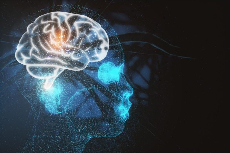 The Science of Cravings: What’s Happening in the Brain